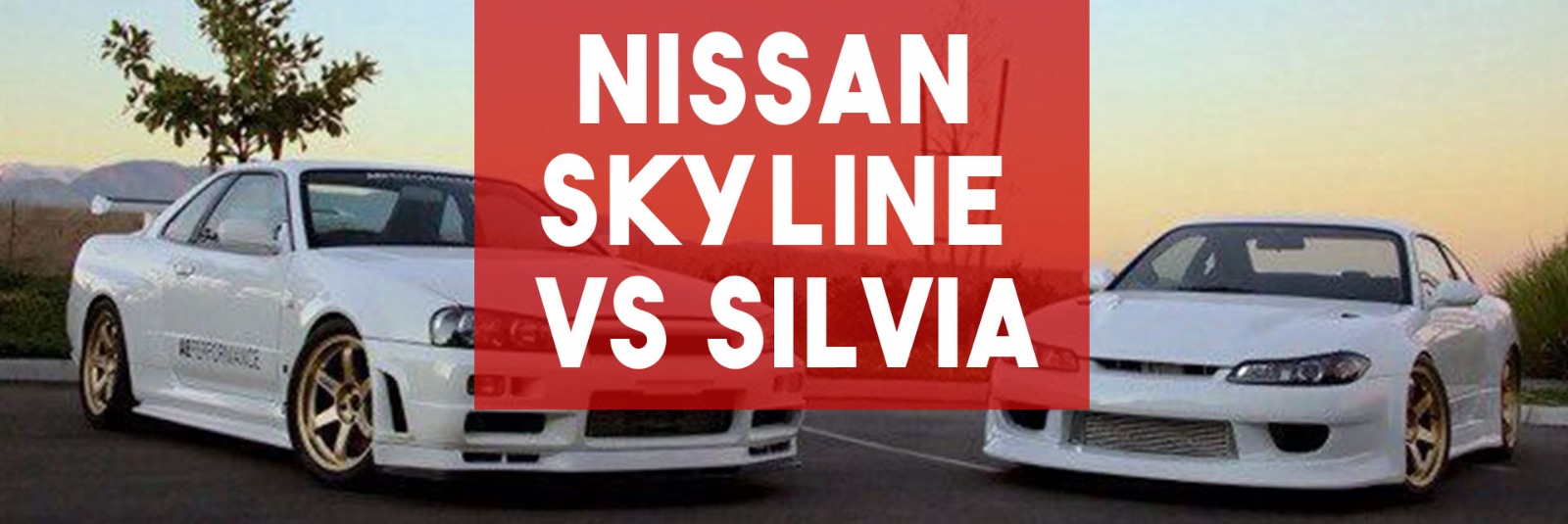 Nissan Skyline Vs Silvia Performance Pros And Cons 2024