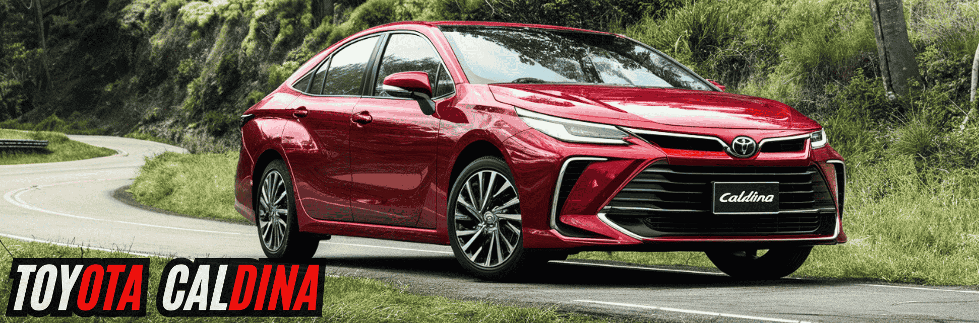 Toyota Caldina Hidden Gem: Features, Specs, and Why Its for you